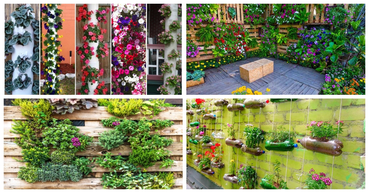 Jardines verticales - JARDINES CASA