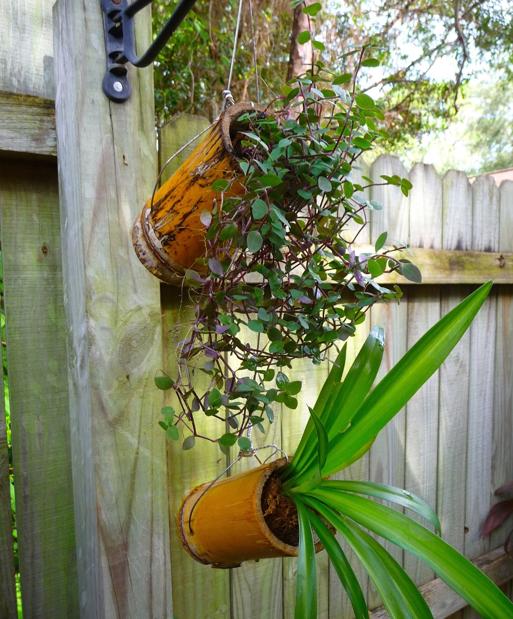 + 15 ideas de maceteros de bambú - JARDINES CASA