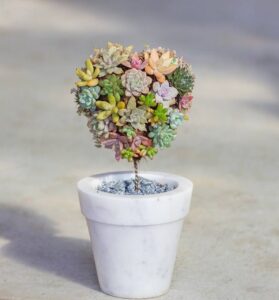 +15 ideas de mini jardines con suculentas - JARDINES CASA