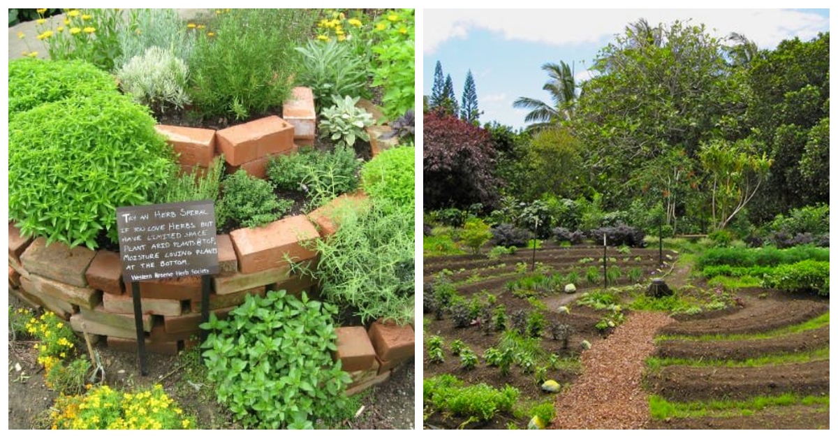 Jardines sostenibles - JARDINES CASA