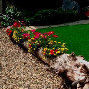 + 10 ideas de troncos horizontales con flores - JARDINES CASA