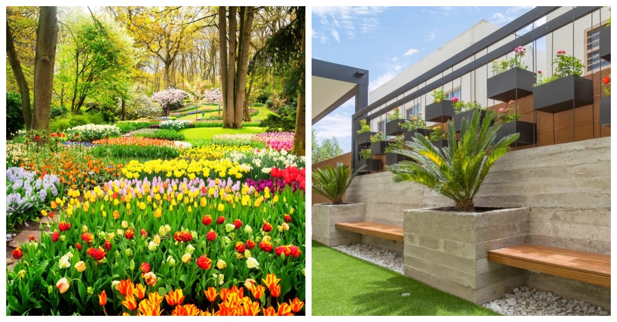 Diseño de jardines - JARDINES CASA