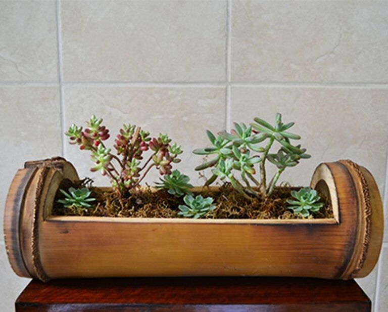 25 maceteros de bambú para cultivar tus plantas - JARDINES CASA