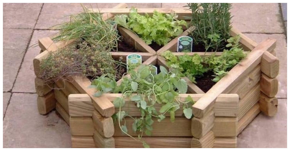 +20 ideas de macetas de madera para Plantas en Forma de Tren ...