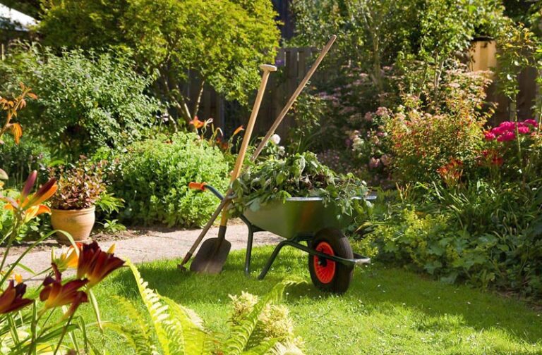 Patios Traseros: Diseño Creativo para un Espacio Único - JARDINES CASA