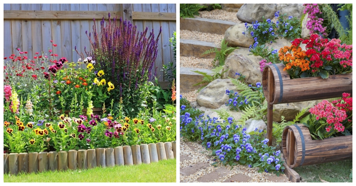 Como Disear Un Jardin